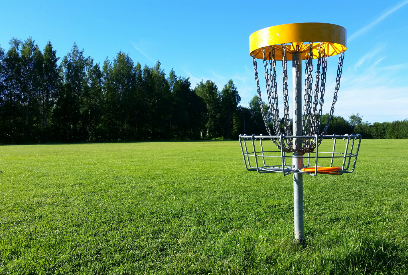 10 Disc Golf Rules You Don't Want To Forget | Incrediwear